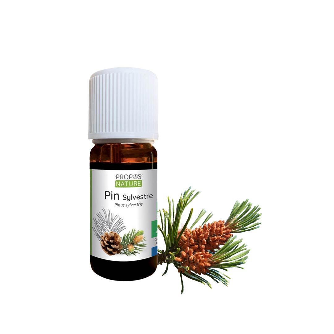 Pine Scots Organic Essential Oil, 10ml - Elliotti